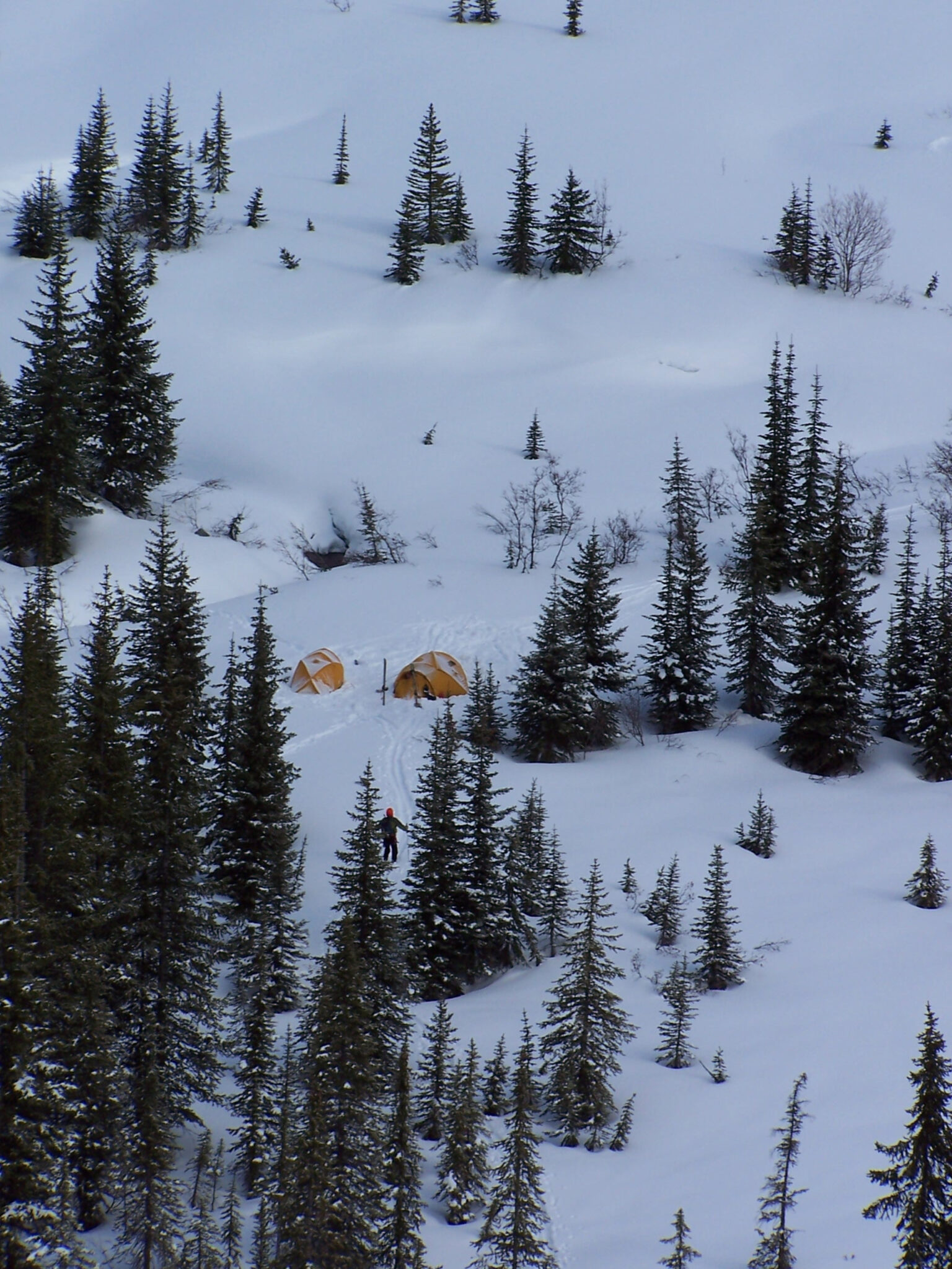 Wrong Way to Battle Abbey (April 16–May 1, 2004) - Stan Wagon